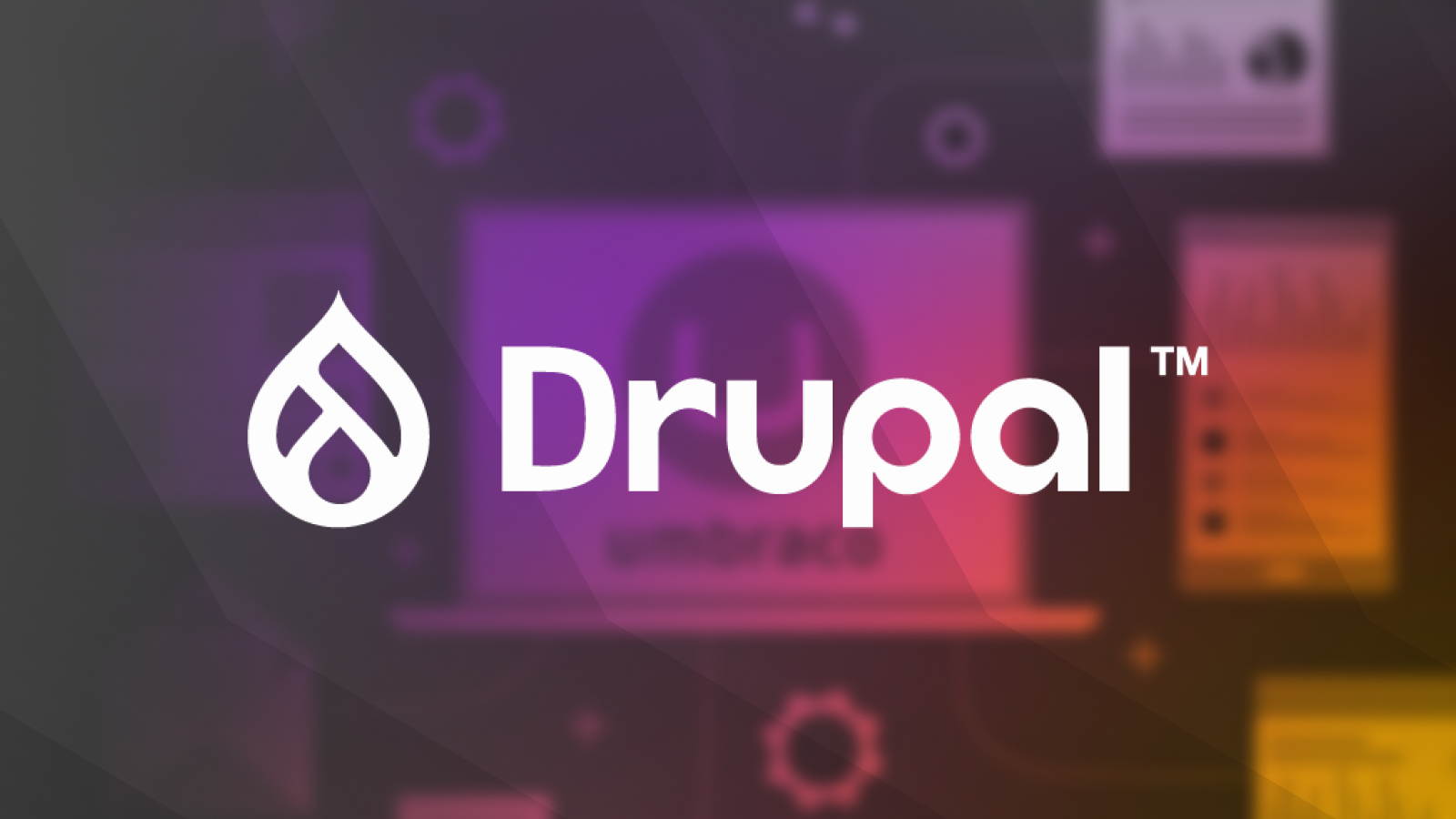 Interview: Dave Sparks of Sparks Interactive on AWS, Drupal – SiteHost